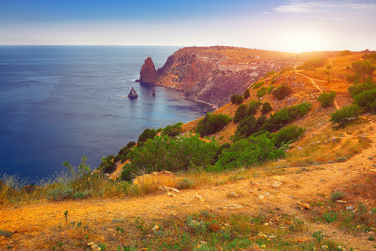 The importance of the long-term vision | ICF Executive Coach | Digital ...